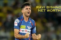 Has The Freelancer Season 2 Release Date Been Revealed? Get The Scoop ...